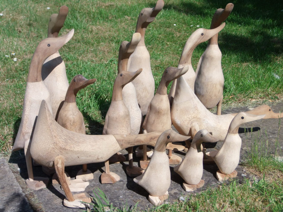 Wooden Duck package 2 – Home gifts garden