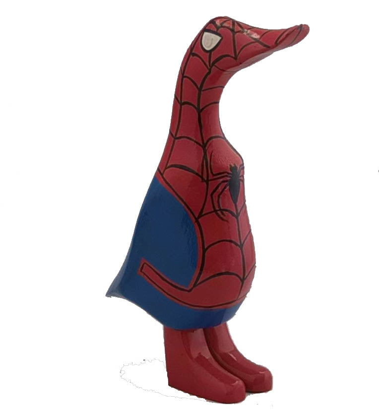 Superhero Duck – Home gifts garden